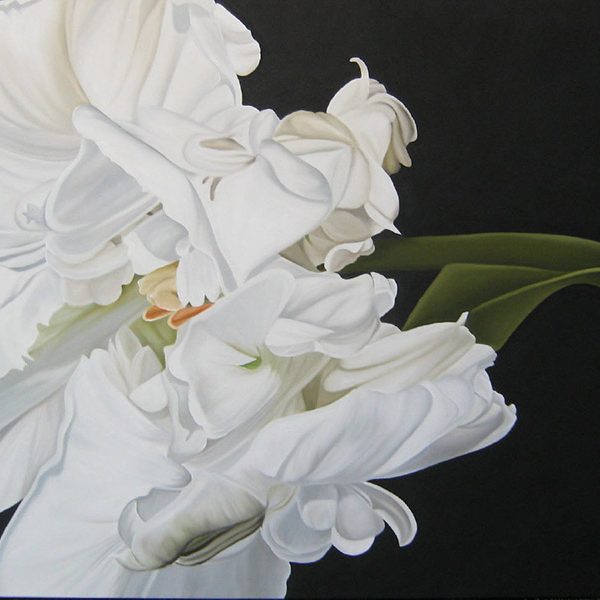 Brian Wyers Archives | Trias Gallery