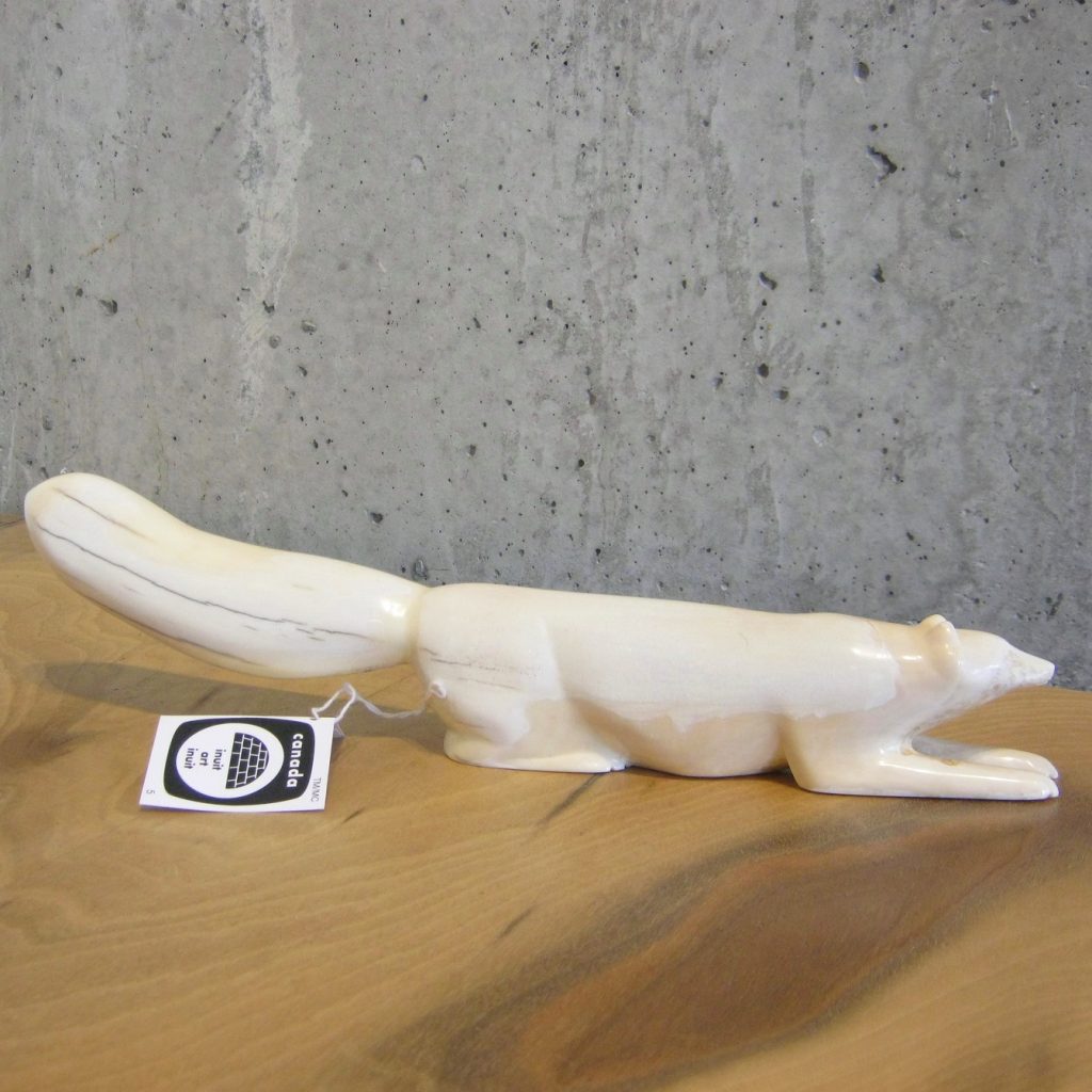 Ivory Arctic Fox | Trias Gallery